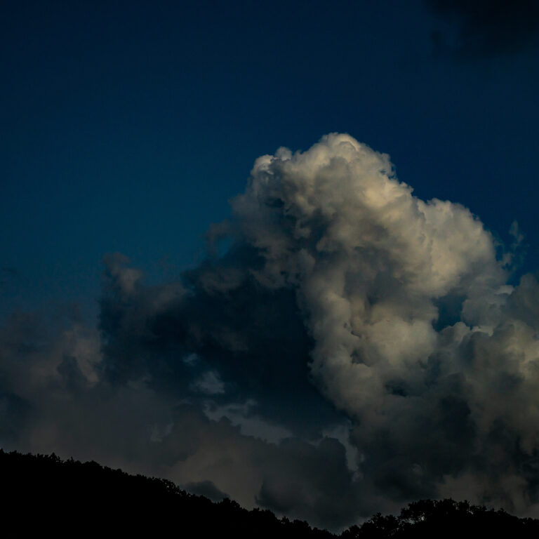 ニュース – DECOHUB